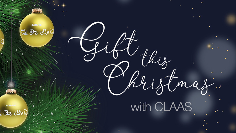 HAMBLYS - Christmas Promotion 2022